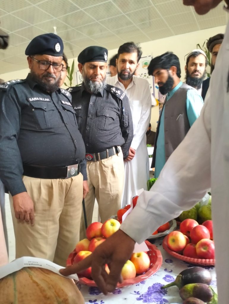 PAKISTAN – First Collective Agriculture Auction in Diamer by Farmers ...